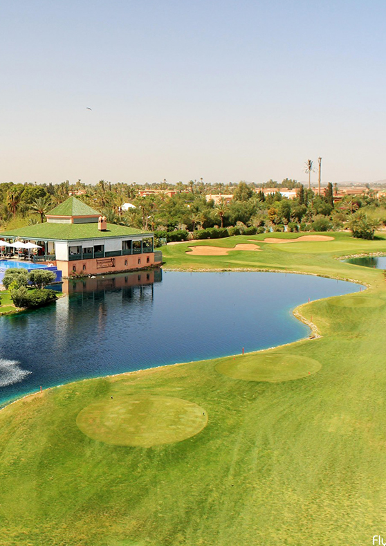 Unlimited Marrakech – Unlimited Marrakech